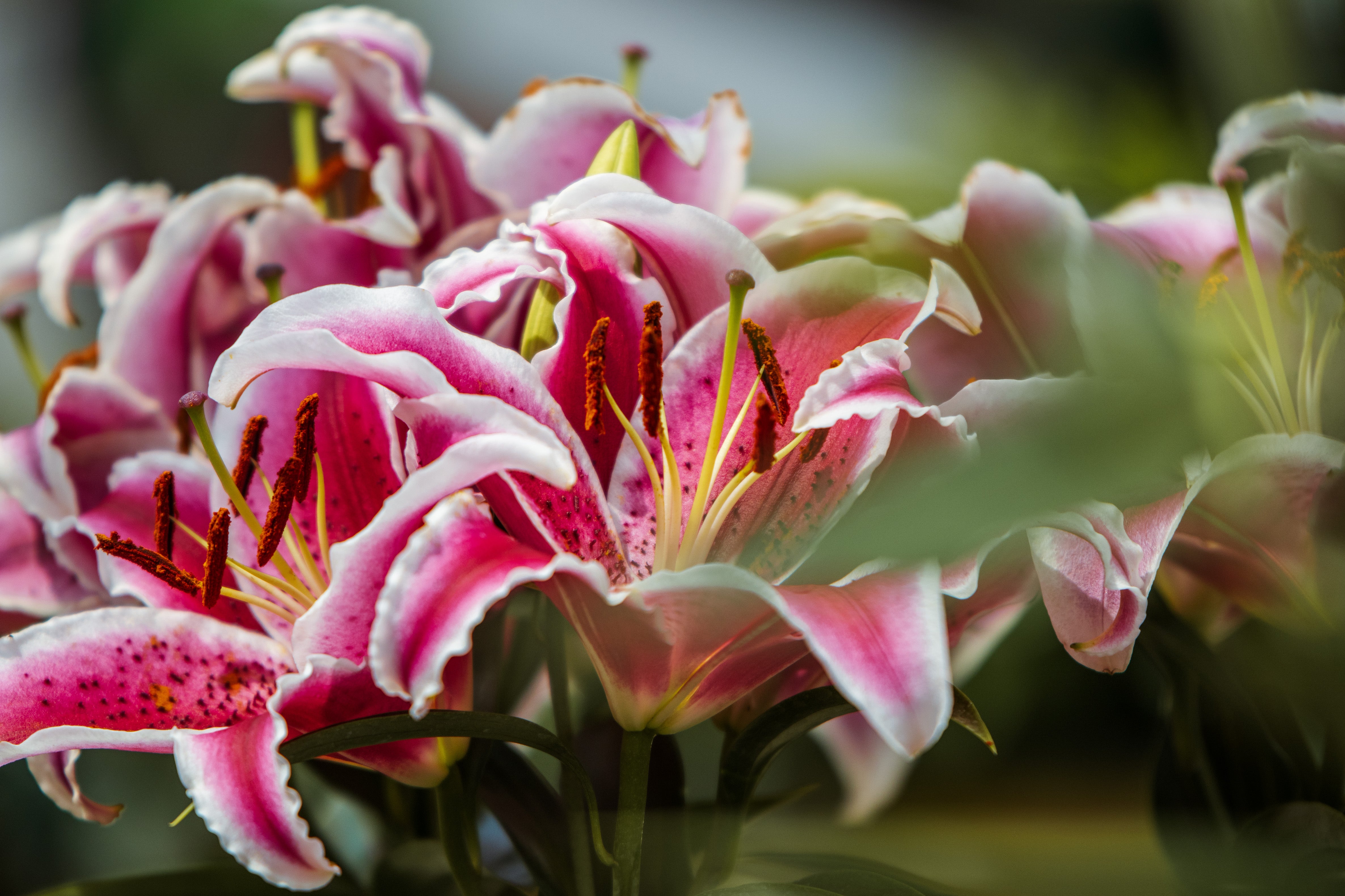 About Us – Holly Days Nursery