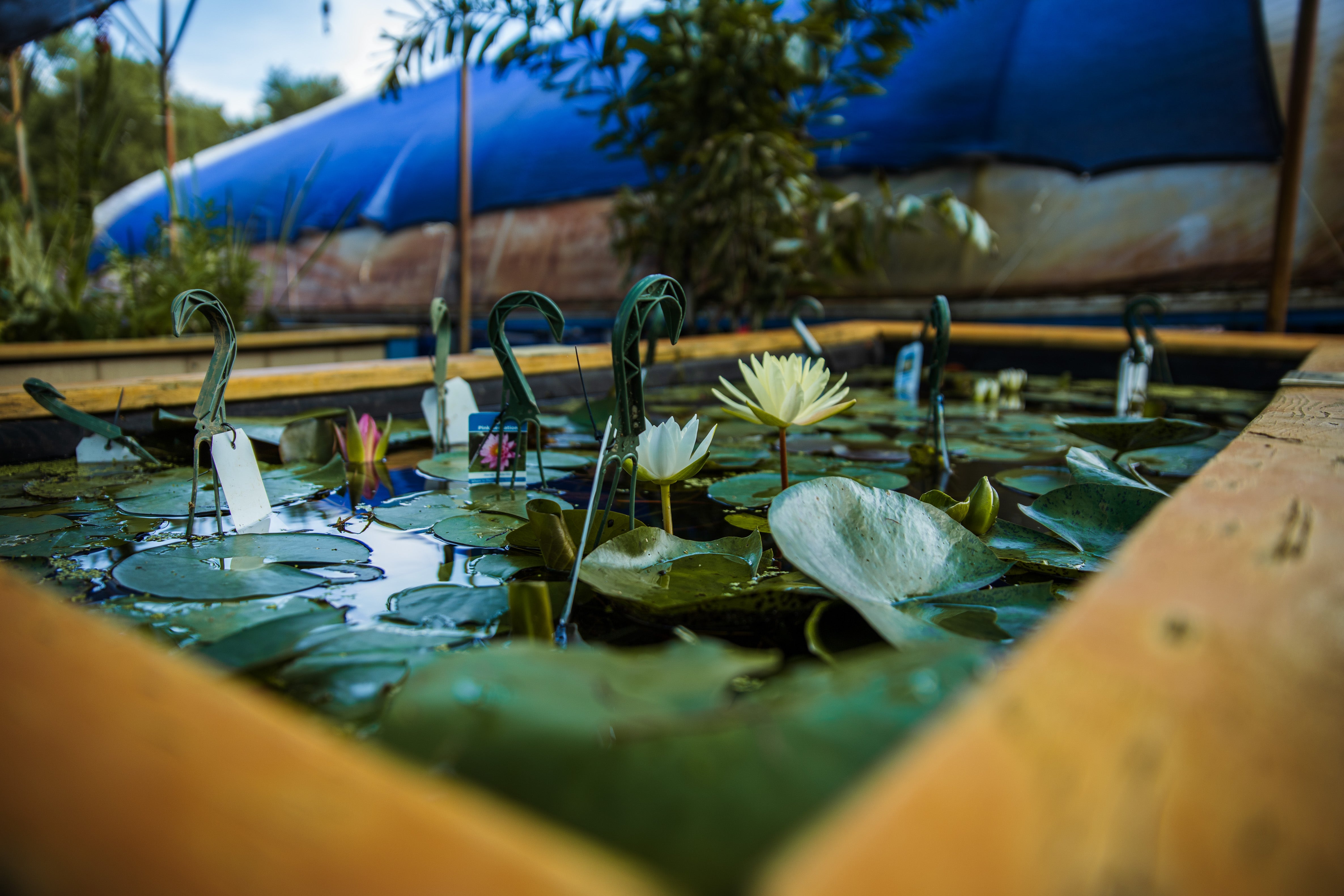 About Us – Holly Days Nursery