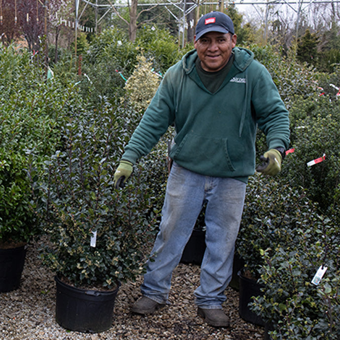 About Us Holly Days Nursery